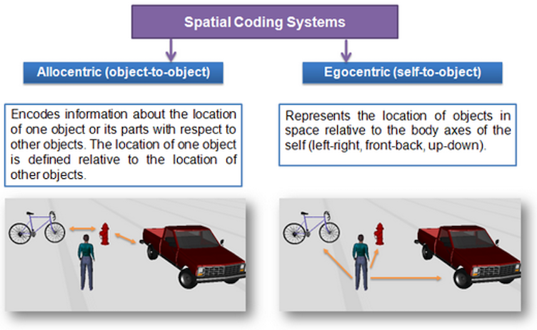 Spatial Navigation: The Art and Science of Wayfinding - EDGE